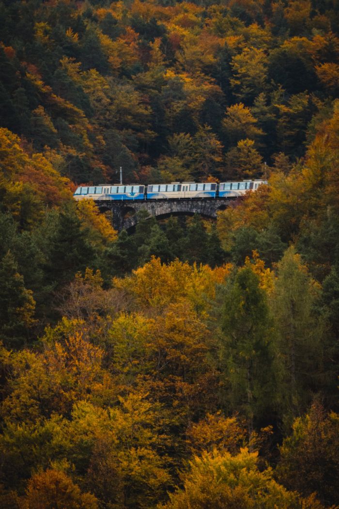 Train Foliage | A Scenic Rail Trip of Piedmont Valleys | ExpertoItaly